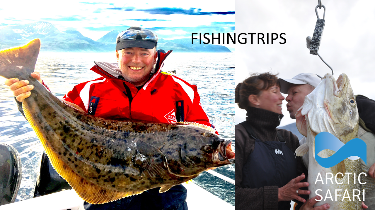 ARCTIC SAFARI - With Mortens halibut page: ARCTIC SAFARI ADVENTURES TO COME