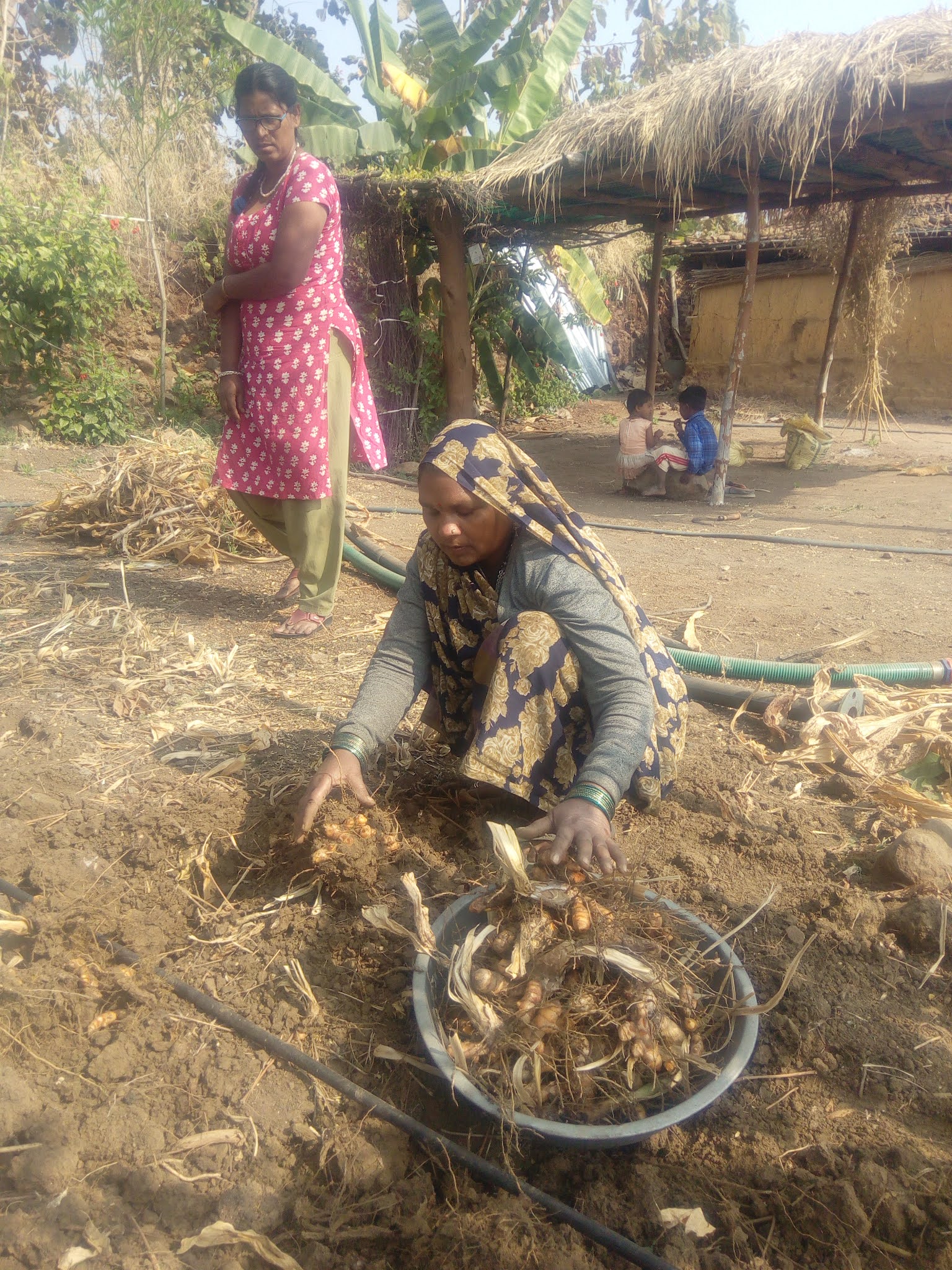 Anaarkali - The Saga of Bhil Adivasi Indigenous People: Barmecide Feast ...