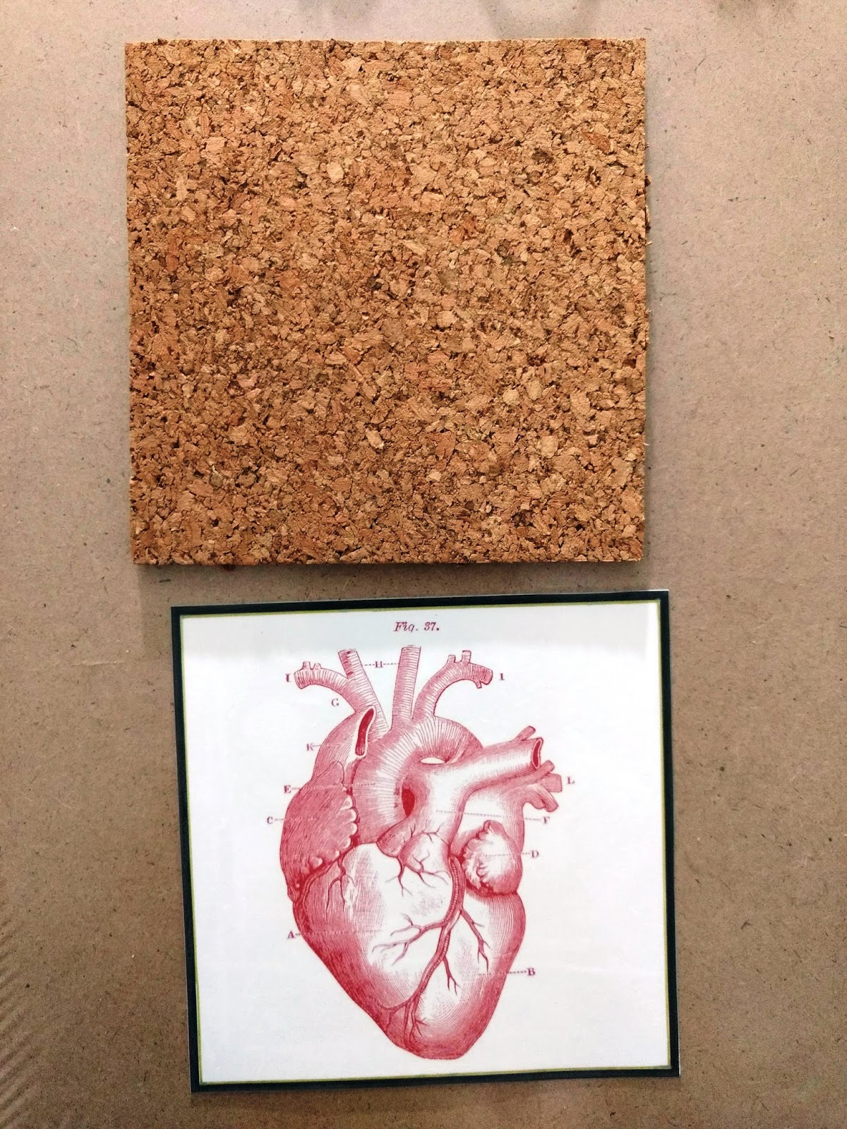 Amber's Craft a Week Blog: Anatomical Heart Coasters