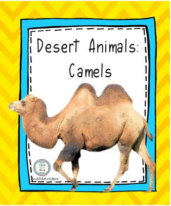 Real Desert Animals For Kids
