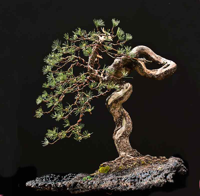 Walter Pall Bonsai Adventures: Generation Bonsai #13 demo Walter Pall