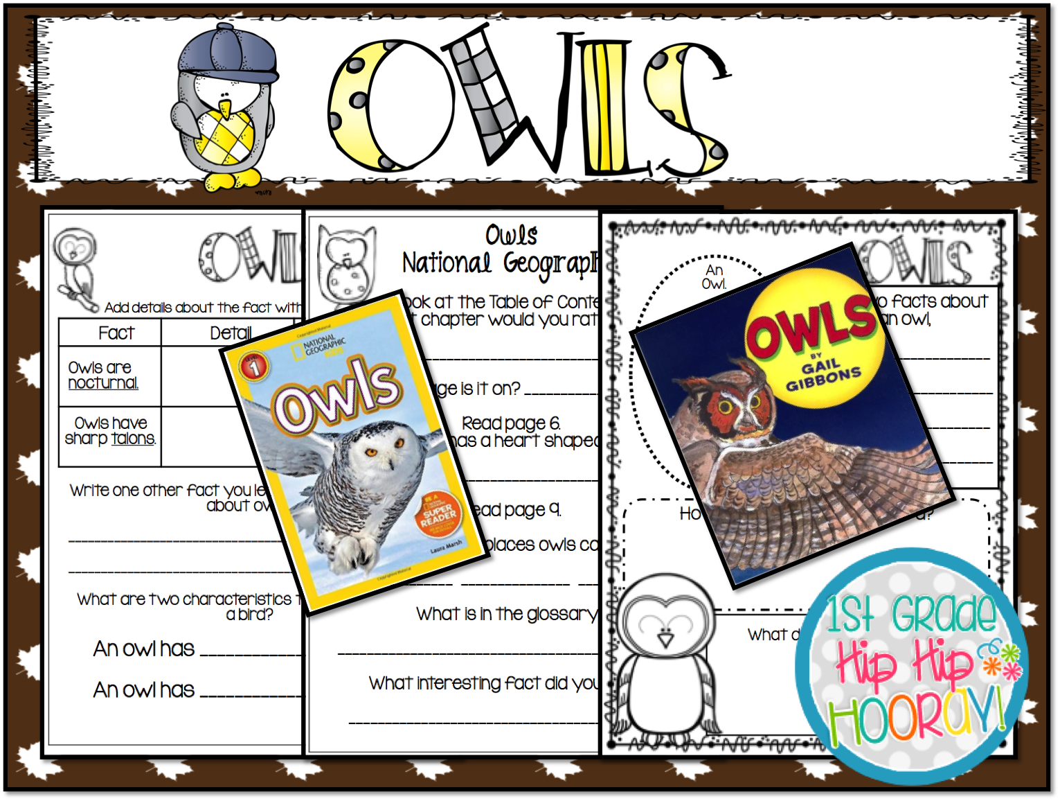 1st Grade Hip Hip Hooray!: Owls...Teaching primary students to use ...
