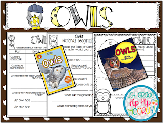 1st Grade Hip Hip Hooray!: Owls...Teaching primary students to use ...