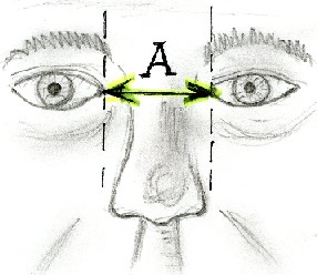 MCQ's in Facial Plastic & Reconstructive Surgery: 1151-1160 MCQ in ...
