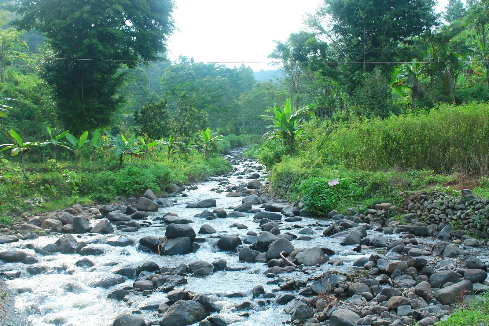 Tempat Wisata di Kabupaten Kediri - Sumber Podang