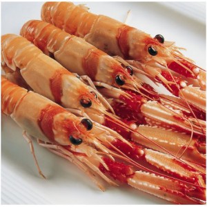 pescado congelado, marisco congelado: Producto del mes: la cigala congelada