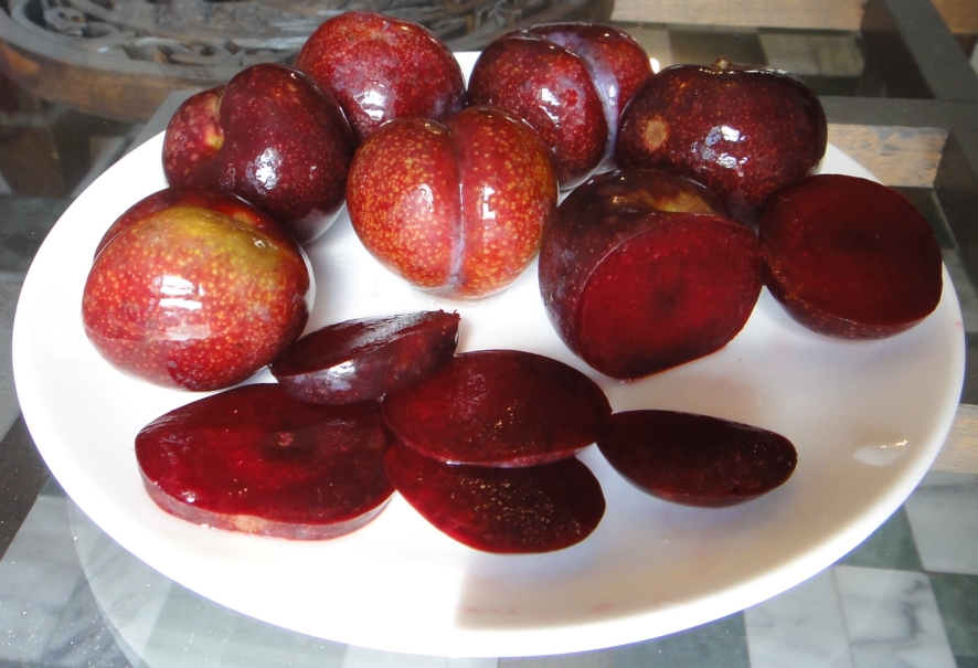 RoadToParnassus: Bai Mu Er -- A Refreshing Summer Classic