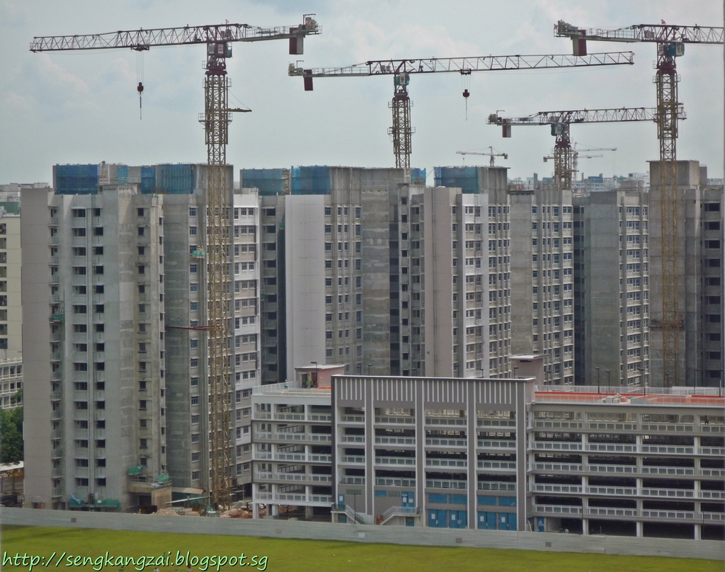 Zai@Sengkang: Anchorvale Isles (Year 2013 Week 32)