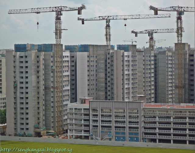 Zai@Sengkang: Anchorvale Isles (Year 2013 Week 32)