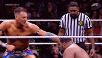 Global Wrestling Gifs: Dominik Dijakovic