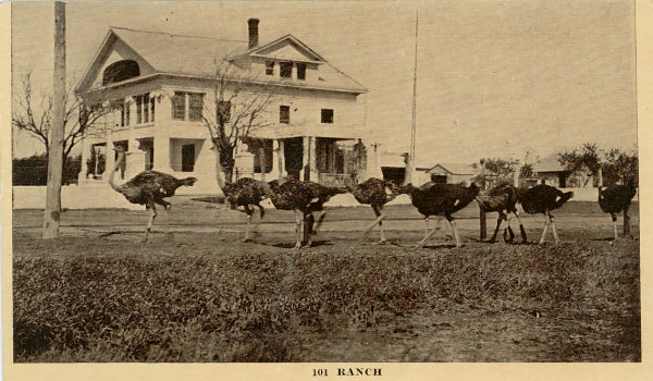 Sweethearts Of The West: The 101 Ranch and Wild West Show