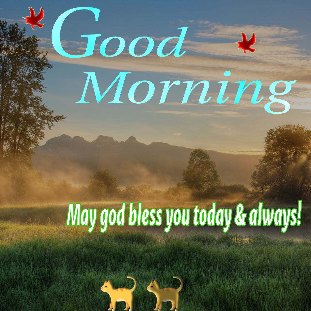 Good Morning Wishes: Good Morning Greeting Wish Pictures including ...