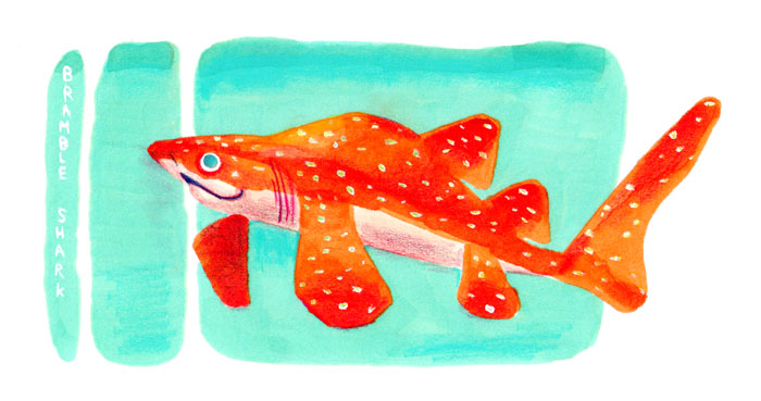 Sharky Malarkey: August 2012