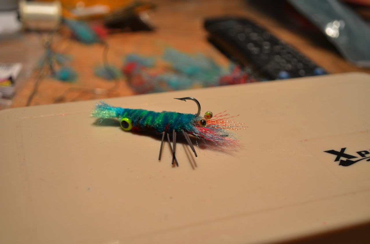 born to fly fish: The Peacock Mantis Shrimp