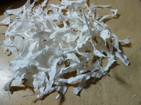 Art and Sole: Papercasting..