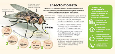 El Blog de Mórdel: 6 Enfermedades que transmiten las moscas y como controlarlas