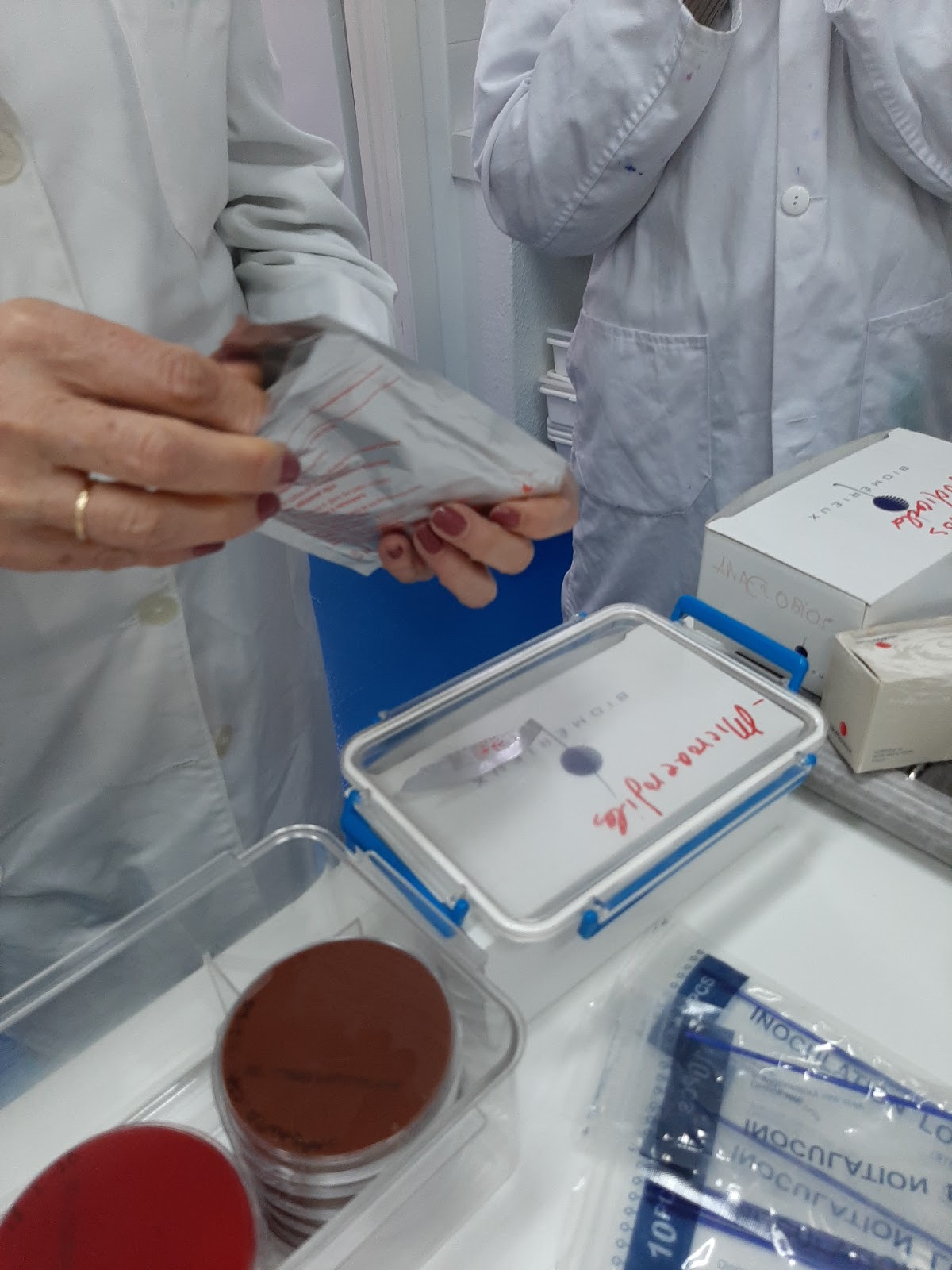 PRACTICA 21: SIEMBRA EN ANAEROBIOSIS