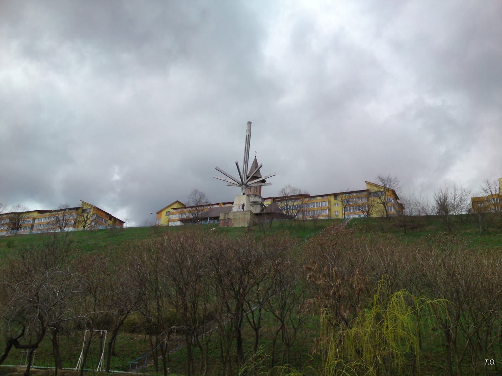 PASARI DIN ROMANIA: CIOARA GRIVA, Corvus cornix