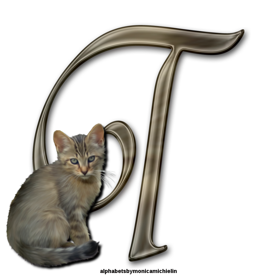 M. Michielin Alphabets: GRAY CAT, KITTEN ALPHABET LETTER, NUMBER PNG ...
