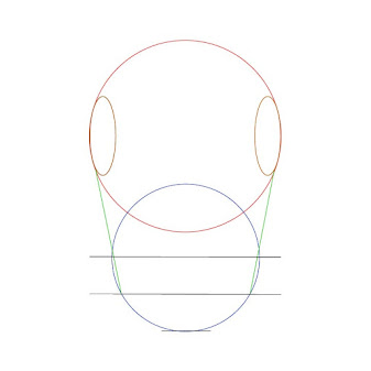 Pasos para dibujar los huesos del cráneo