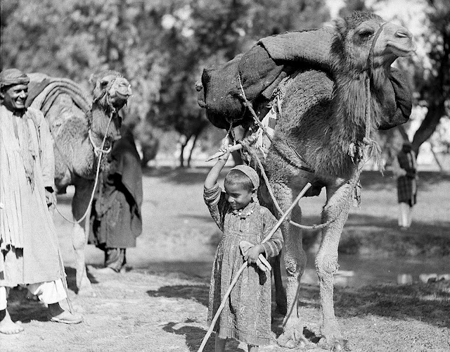 History of Pashtuns: Afghan nomads (Kochi or Pawanda)