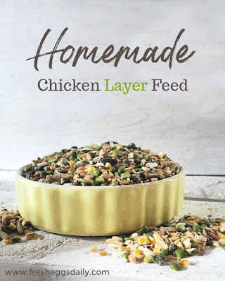 Homemade Chicken Layer Feed | Fresh Eggs Daily® | Bloglovin’