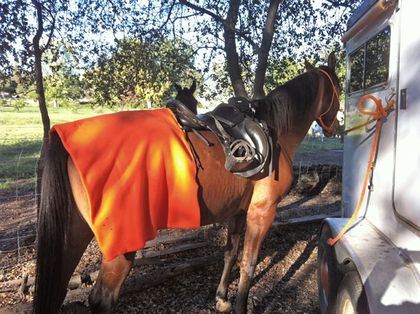 Trails (and Trials): rump rug project