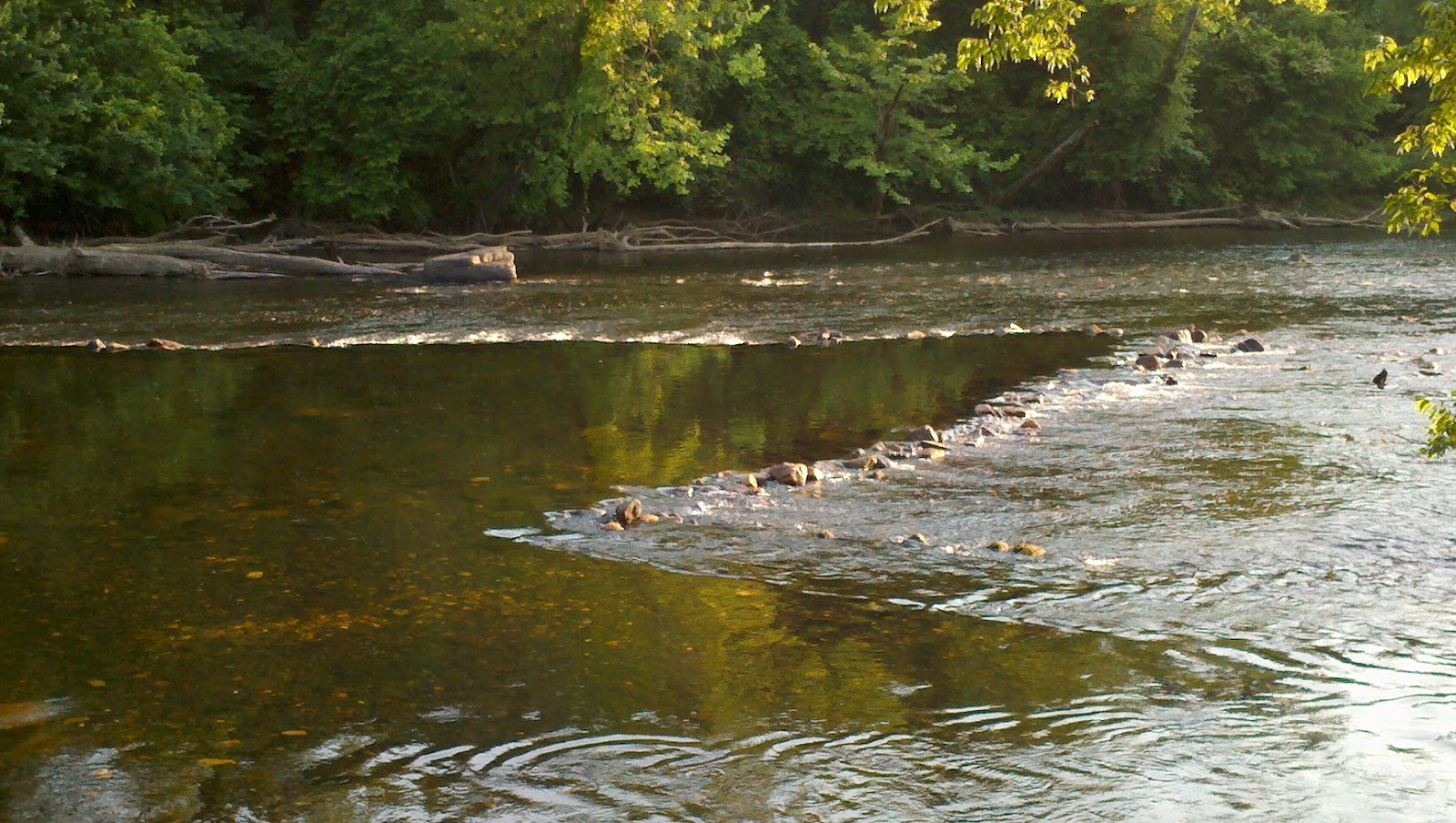 Outdoors with Bill: Native American Fishing Weirs