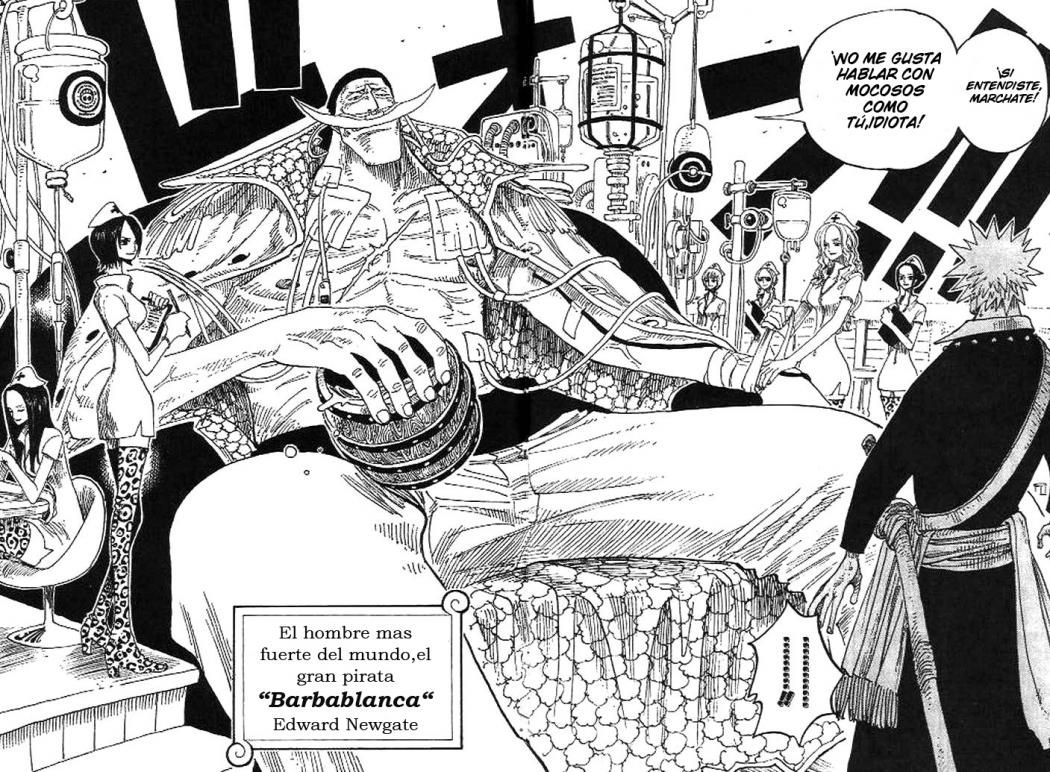 One Piece Manga Capitulo 234 Porfavor recuerdalo ~ ParaisoGrandLine