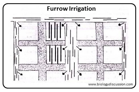 B for Biology: Crop Production and Management (Part II)