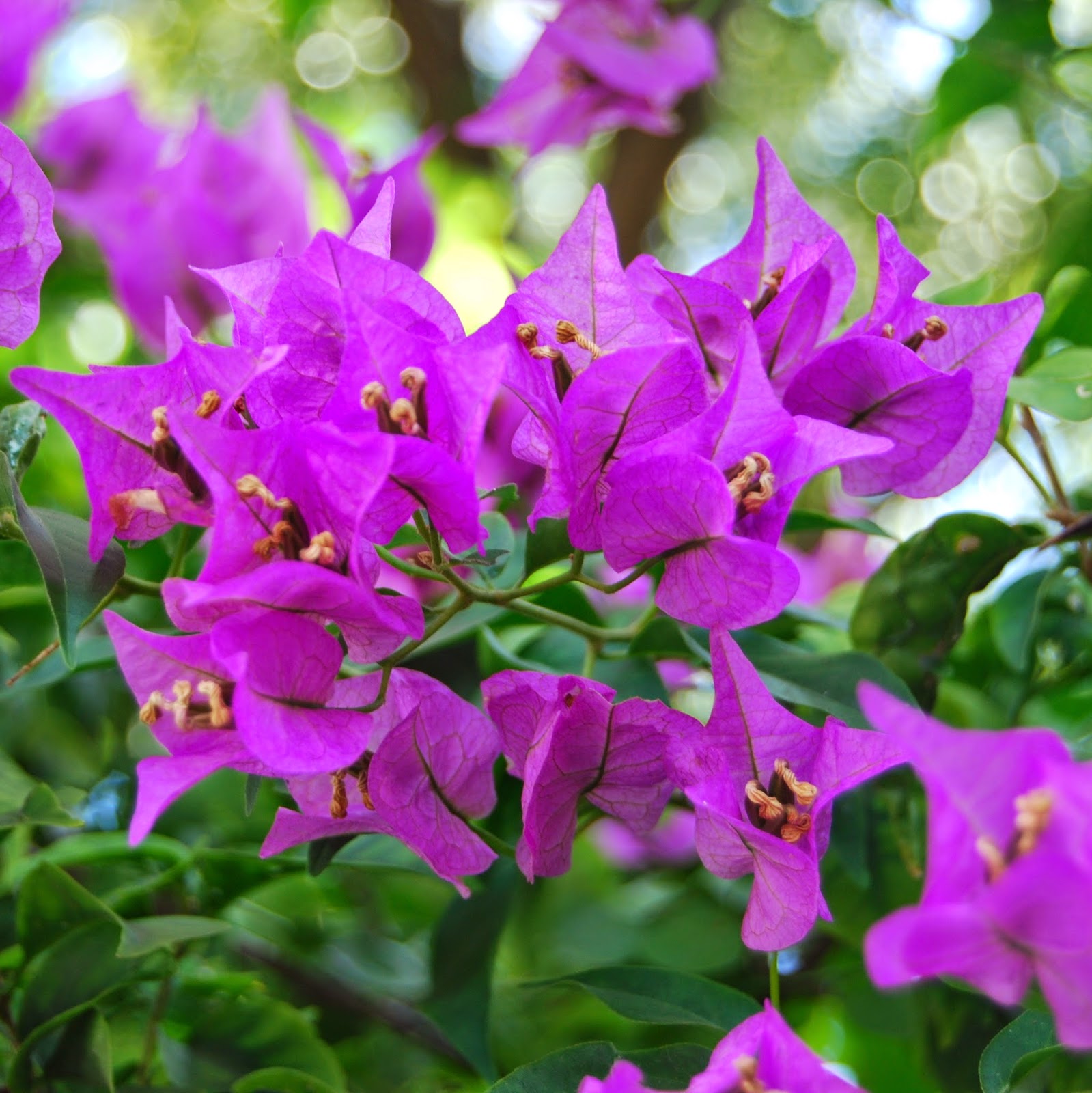 Your SEO optimized title