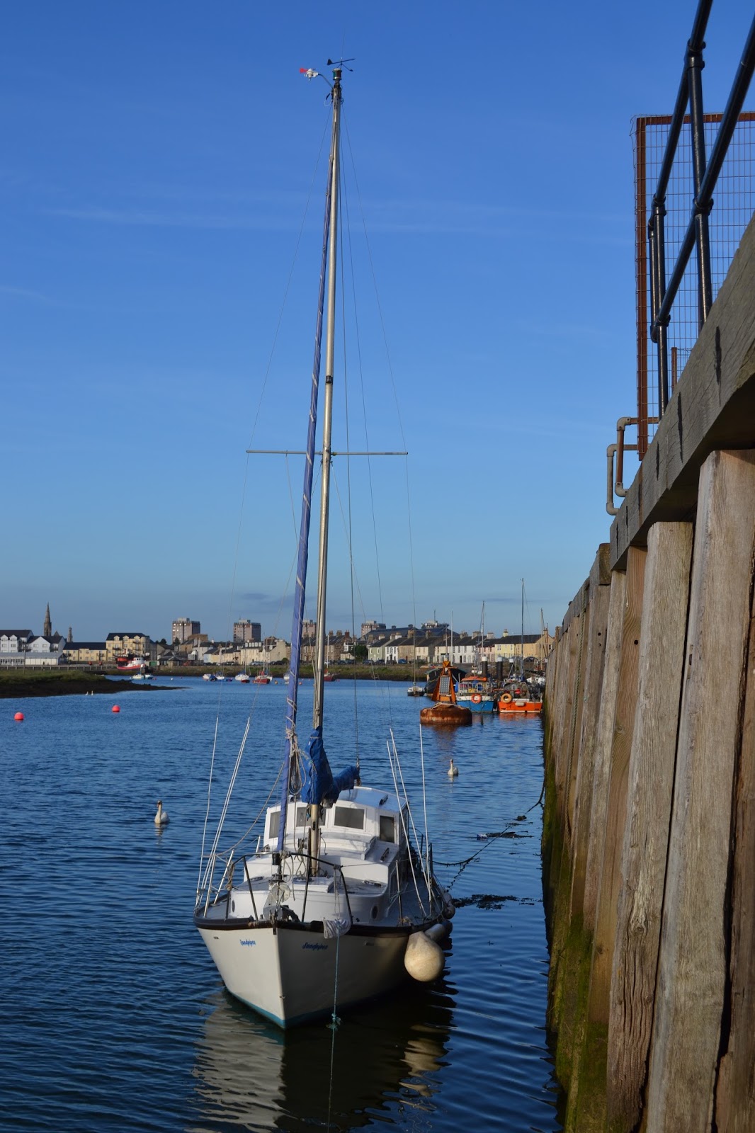 A Summer of Serving: Vennels and hidden pathways