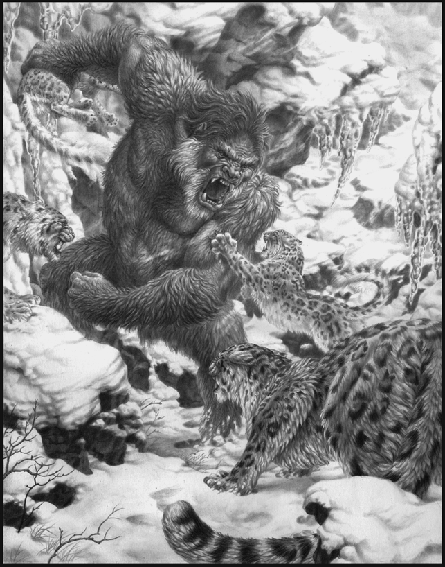 Yeti by Raoul Vitale (re-post) - a pencil sketch is in the comments as ...