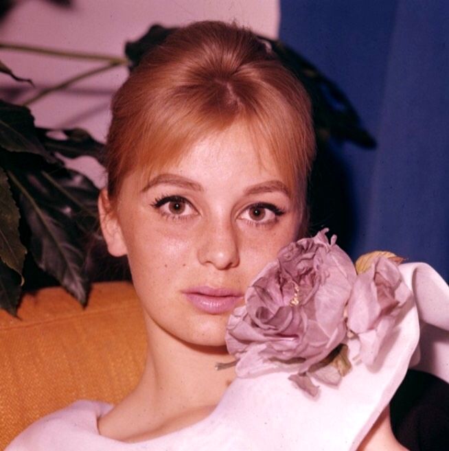 A BÍBLIA DO CINEMA: 2019