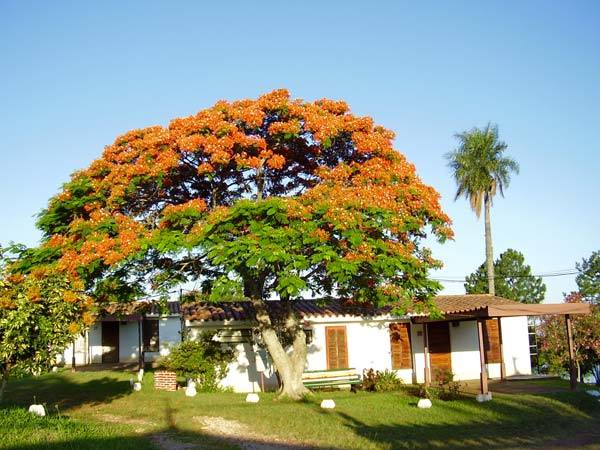Complejo El Paraíso de Yapeyú - Region Litoral