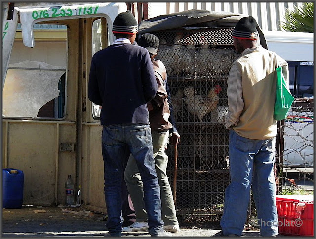The Mdantsane Way: Inkuku - Fresh Chicken