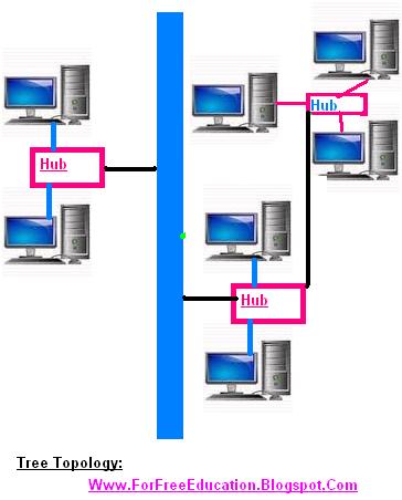Computer Education Programs: Advantages and Disadvantages of Tree Topology