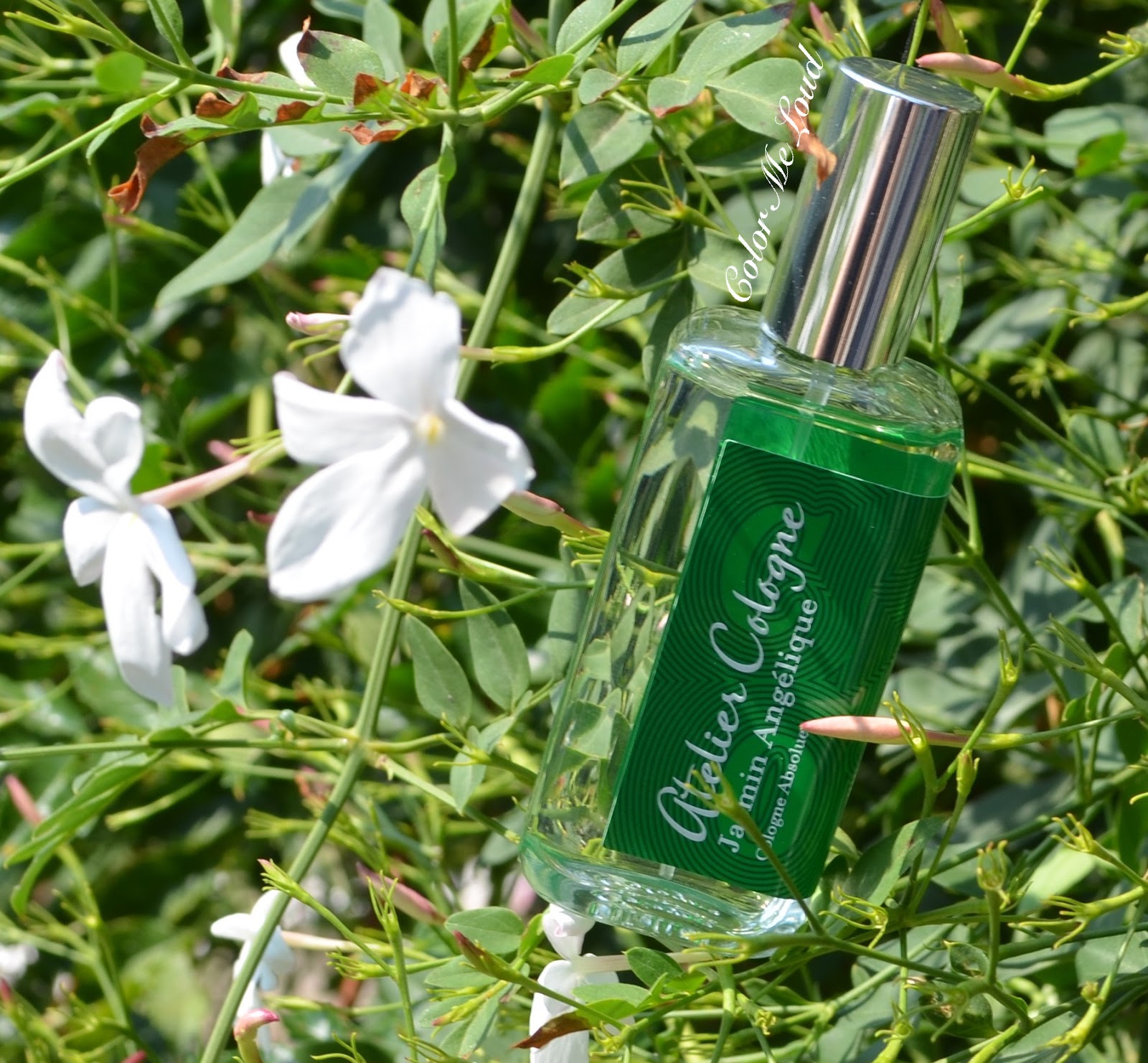 Atelier Cologne Jasmin Angelique Cologne Absolue Review & Photos ...