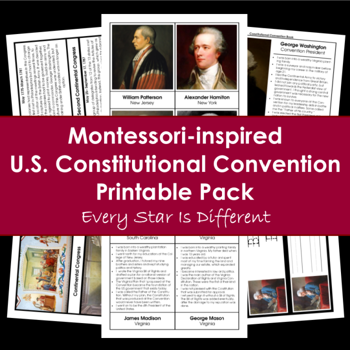 Every Star Is Different: United States Government & Consitution Bundle