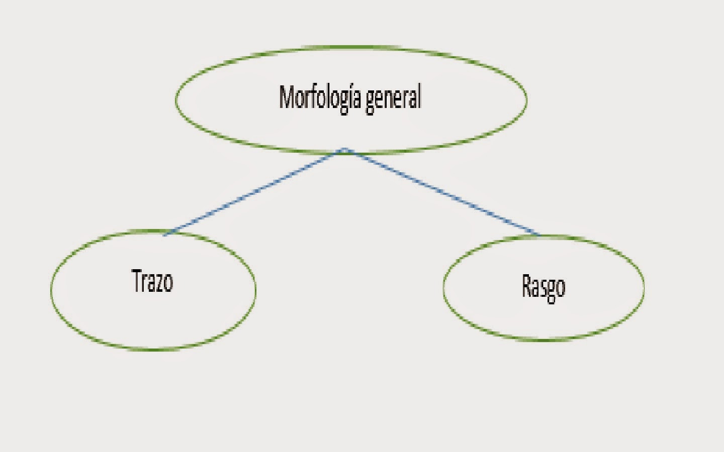 Grafologia: ELEMENTOS DE ESTUDIO EN LA GRAFOSCOPÍA