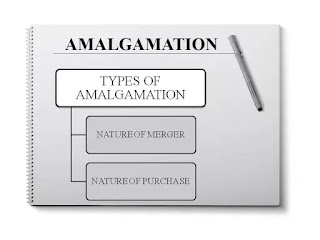 Amalgamation | 2 Types of Amalgamation