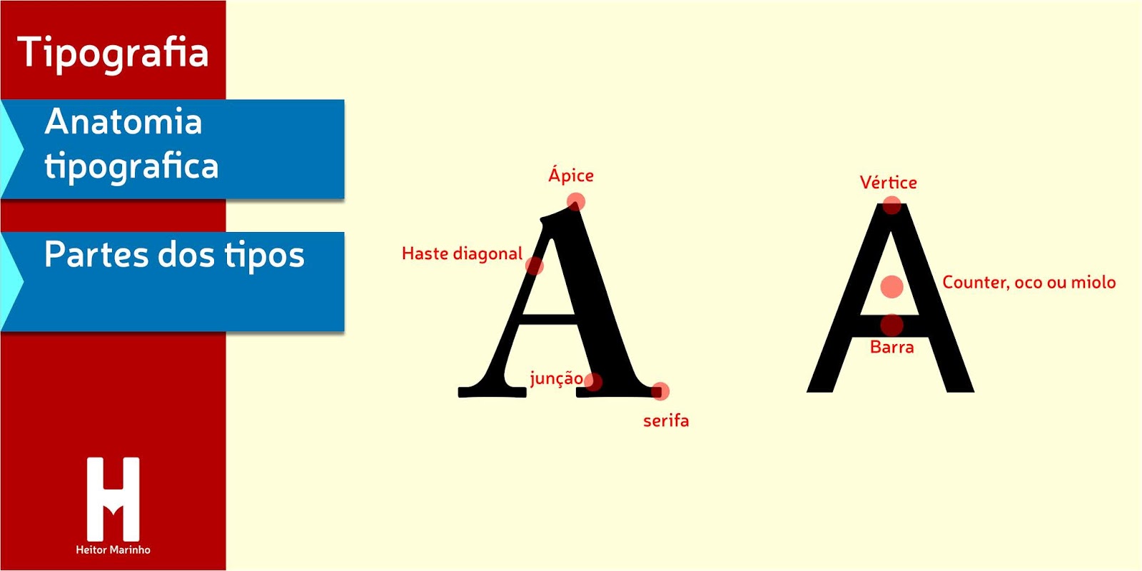 Anatomia e morfologia tipográfica