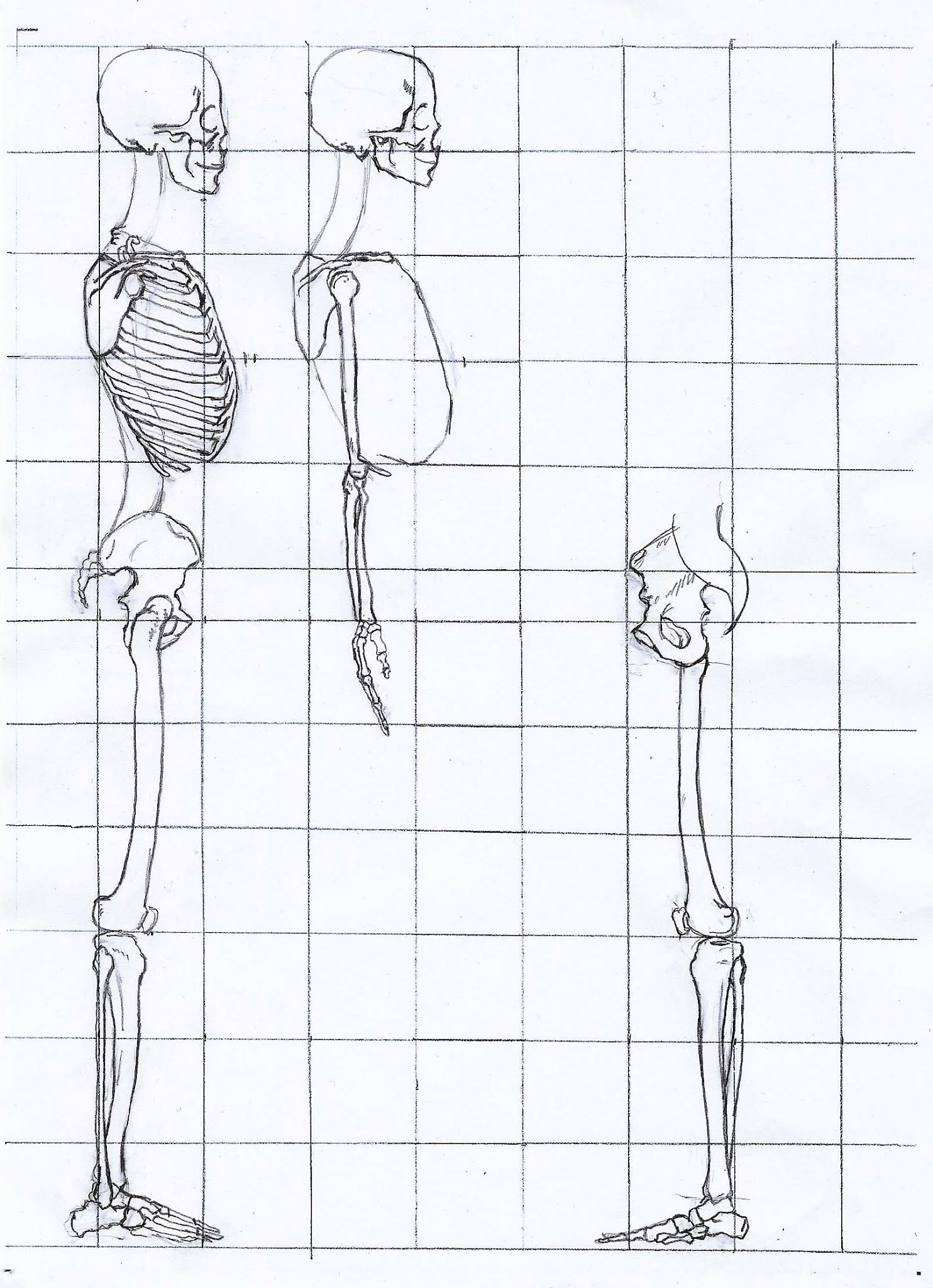 Artistic Anatomy Glasgow: Grid Gym: advanced female surface anatomy ...