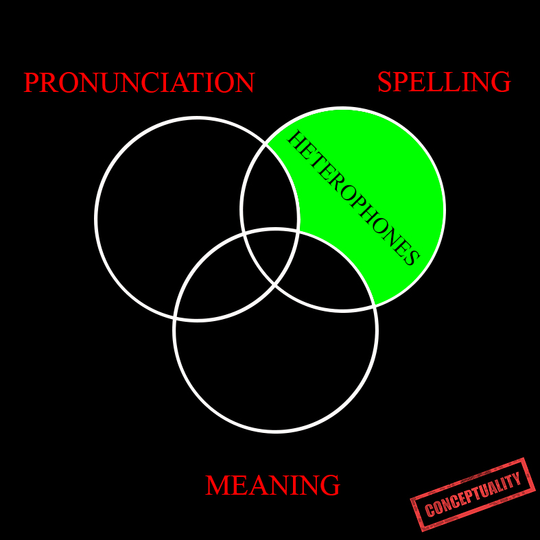 The Novice Writer: Homonyms Explained!