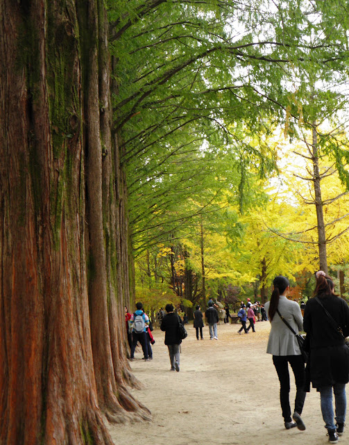 StarExpress | Travel Diary: Nami Island | October 2011