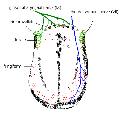 Smell etcetera (Home): Taste