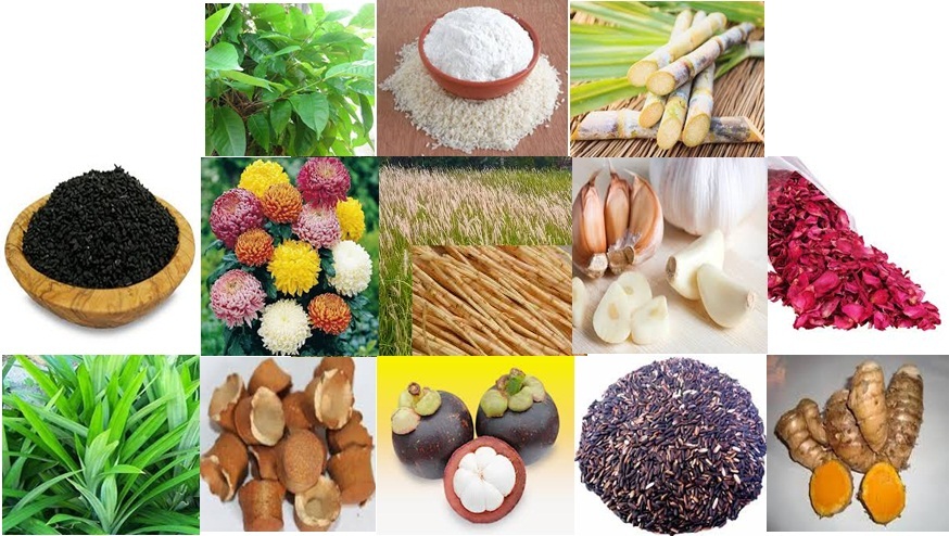 Cara Penggunaan dan Manfaat Bio 7(seven) Untuk Tubuh Kita