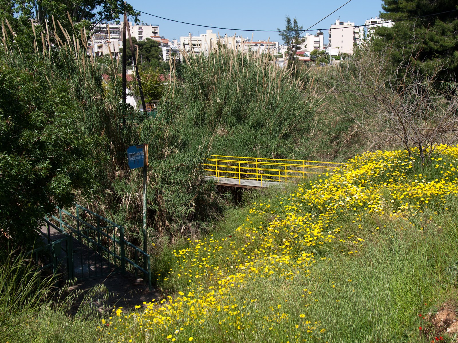 Ρέμα Πικροδάφνης // Η τοπογραφία του τελευταίου ανοιχτού "δρόμου του ...