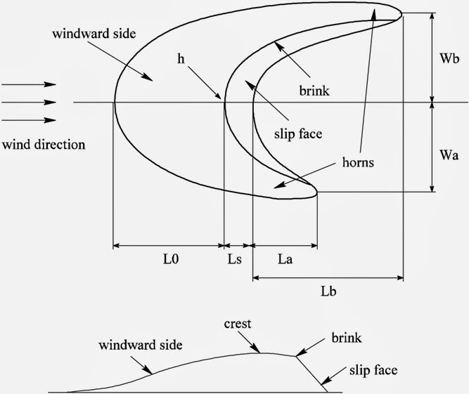 The Super Model: The Mathematics of Sand Dunes