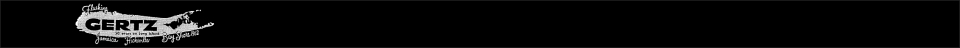 The Department Store Museum: B. Gertz & Co., Jamaica, Queens, New York